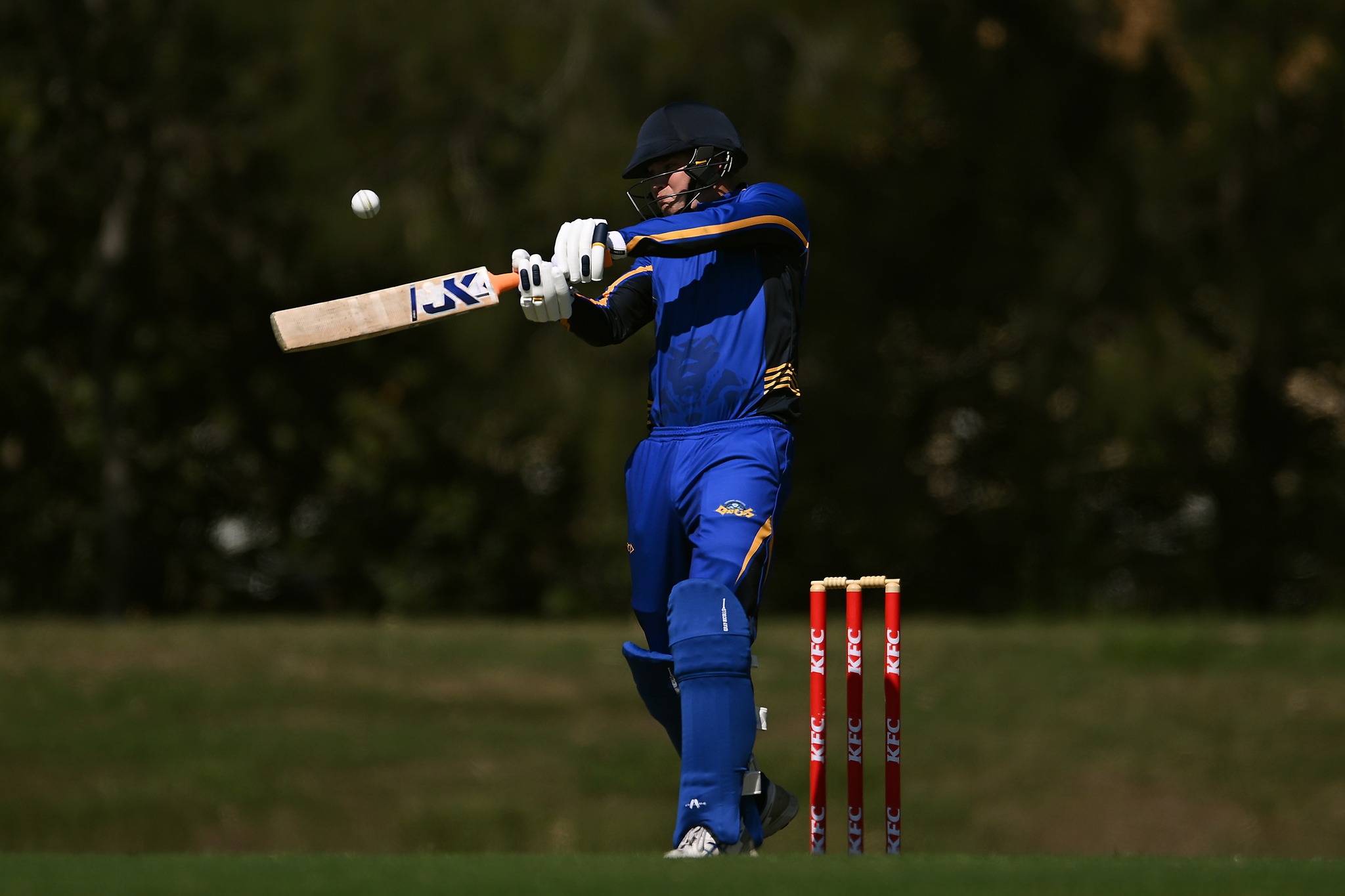 Winter Is Coming | Queensland Cricket
