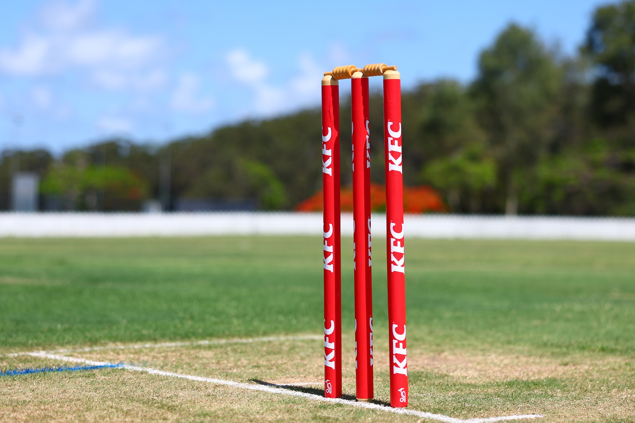 Premier Update | Queensland Cricket