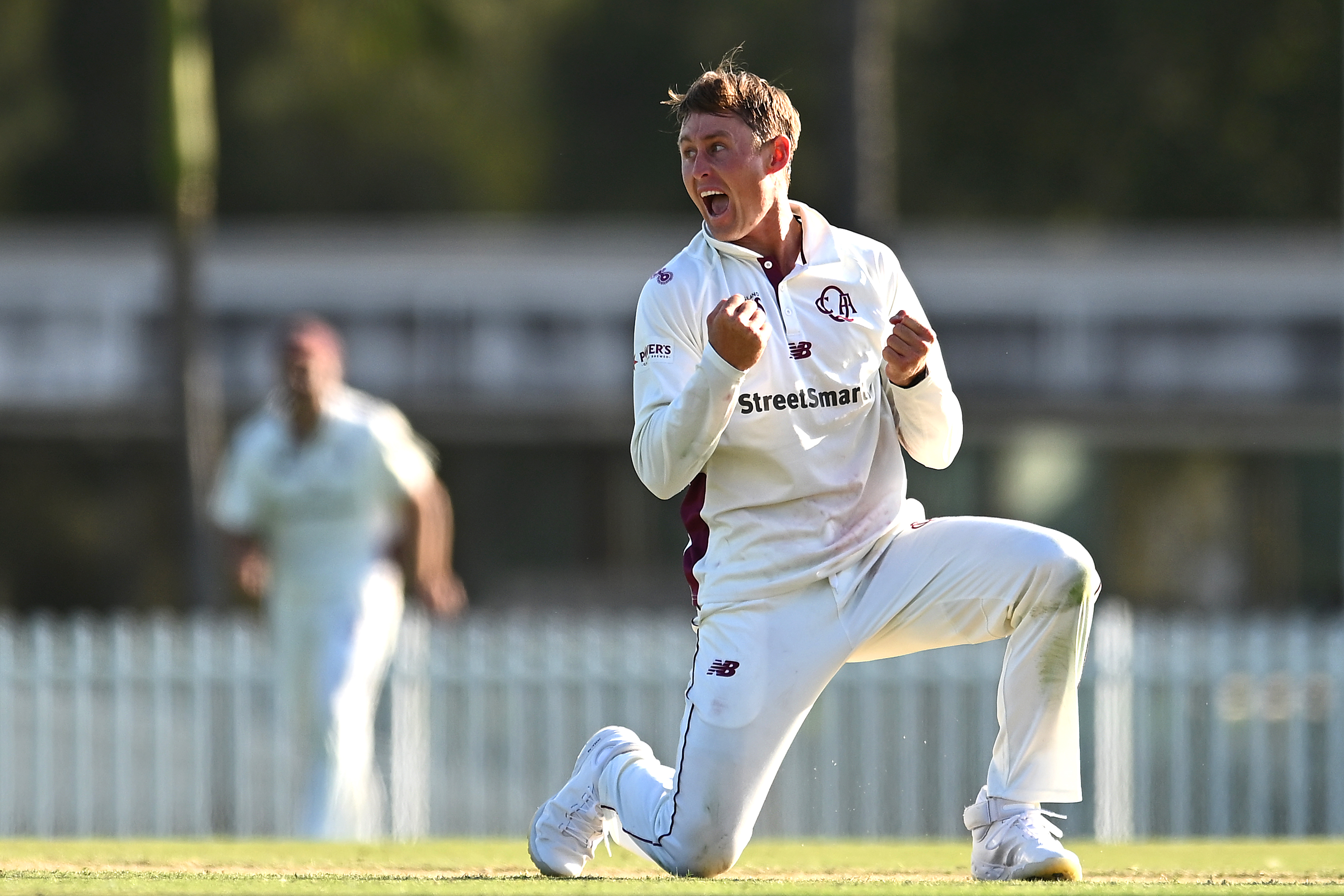 Marnus Back For Bulls | Queensland Cricket