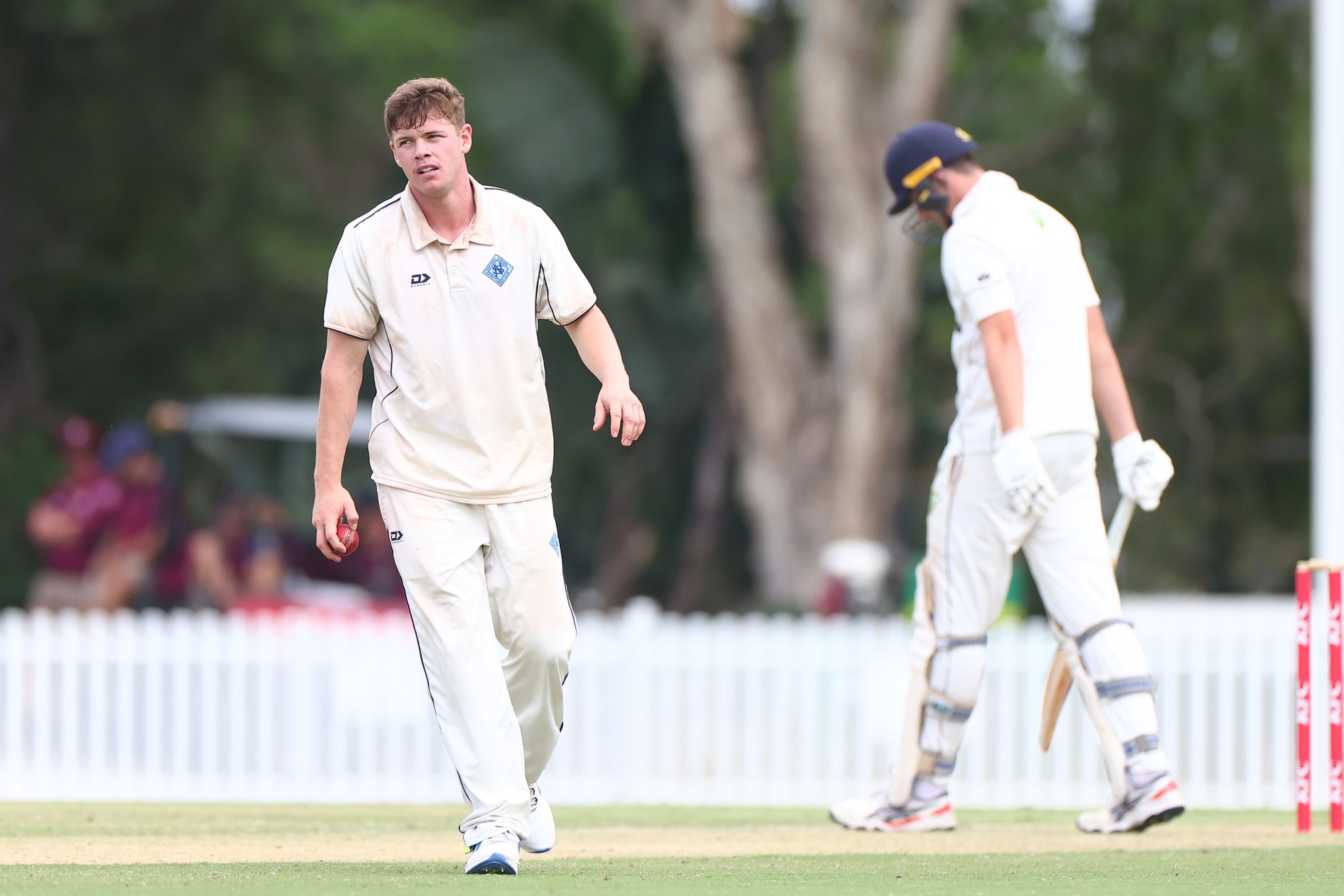 Scorchers To Tackle Vikings | Queensland Cricket