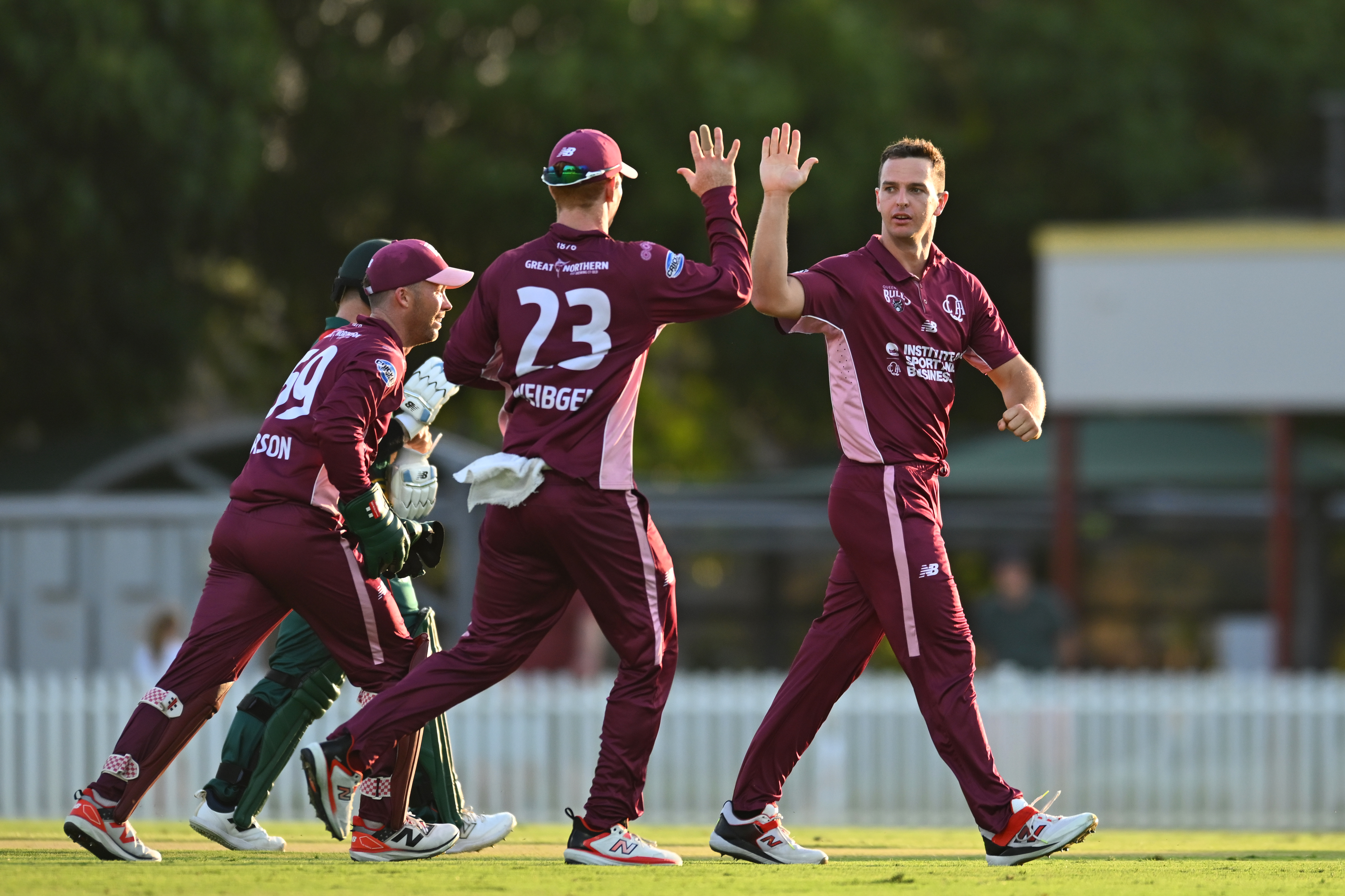 Bulls Into One Day Mode | Queensland Cricket